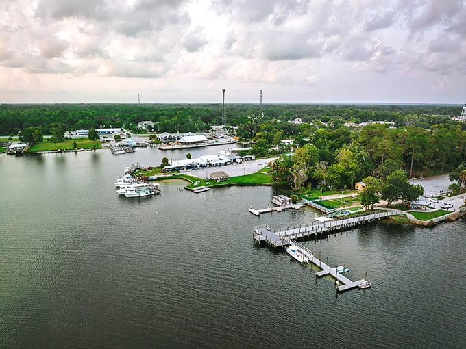 Crystal River's waterways offer a peaceful retirement playground where boats gently bob alongside pristine docks – nature's version of a gated community, but with better views.