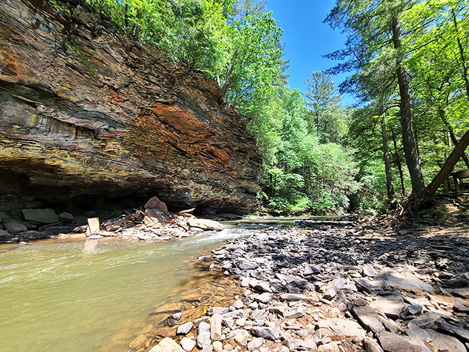 Nature's architecture on full display. The rugged rock formations and crystal-clear waters of Great Trough Creek create a geological masterpiece worth the journey.