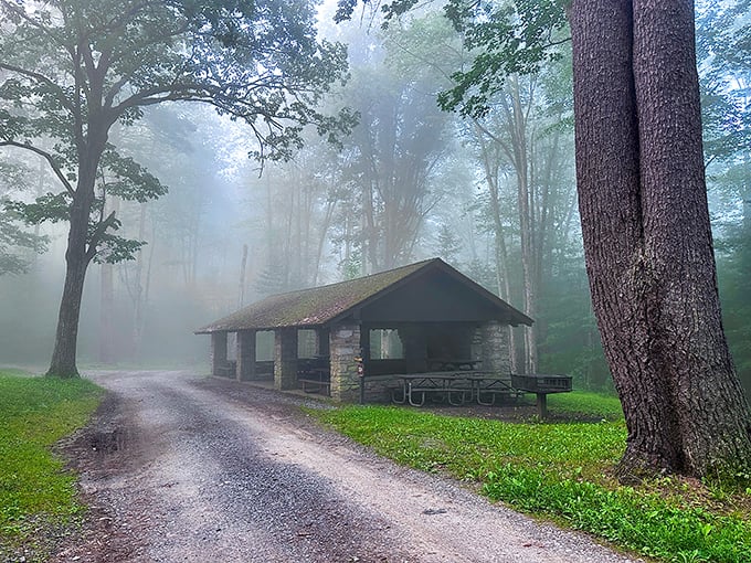 A misty morning reveals the park's stone pavilion, where nature's quiet drama unfolds like a scene from a forgotten fairytale.