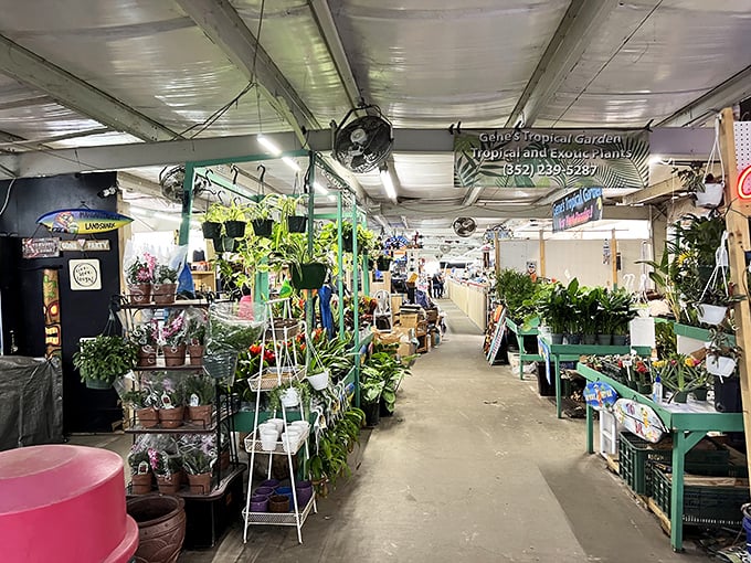 The plant paradise at Market of Marion feels like stepping into a botanical garden where your wallet doesn't need therapy afterward.