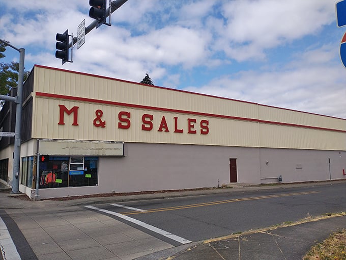Welcome to organized chaos, where your grandmother's estate sale met a warehouse and decided to get married.