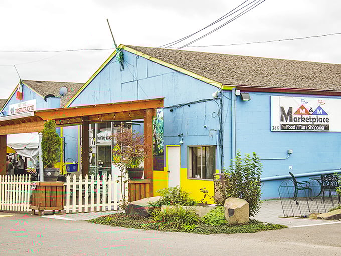 The bright blue exterior with sunny yellow trim isn't just eye-catching—it's practically shouting "adventure awaits inside!" A colorful beacon in Hillsboro's retail landscape.