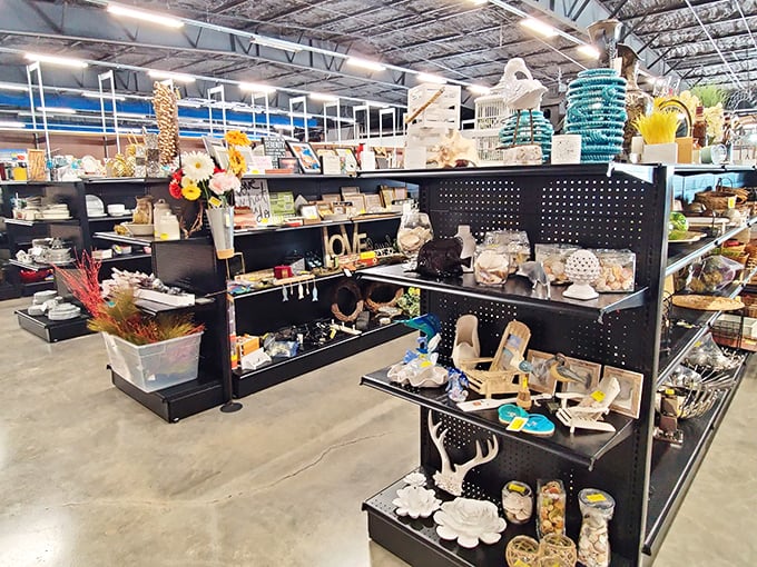 Inside Mission Thrift Sarasota, shelves are filled with eclectic treasures—from home décor to unique finds—making every visit a new adventure in bargain hunting.