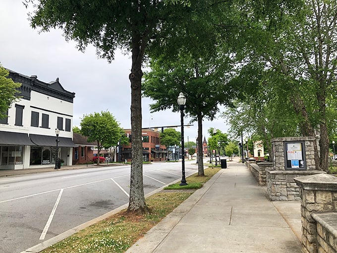 The stately buildings along downtown Hartwell line the street like dignified Victorian gentlemen dressed for Sunday dinner — elegant, timeless, and impossible to ignore.