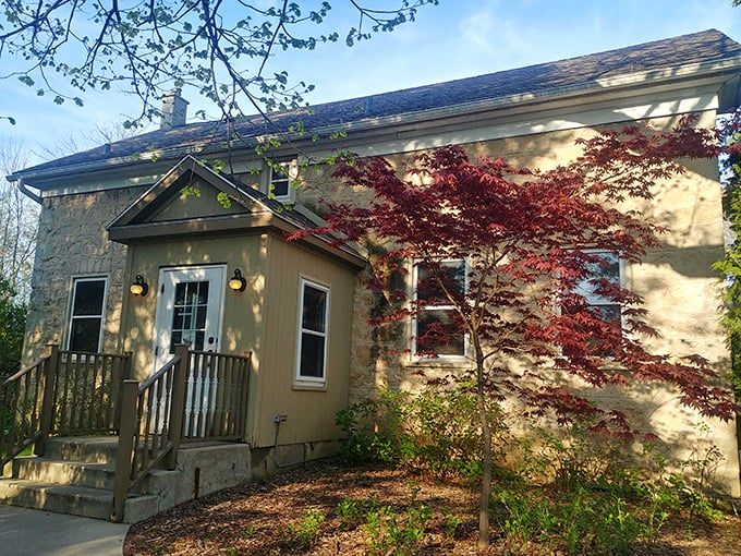 The stone farmhouse exterior with its vibrant Japanese maple creates that perfect "you've discovered something special" moment before you even taste the walleye.