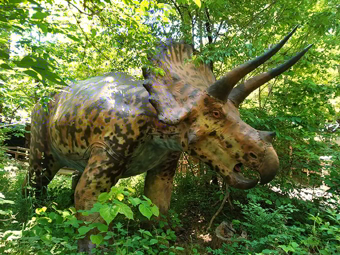 A meticulously crafted Triceratops lurks among Tennessee foliage, its three horns and spotted hide bringing prehistoric imagination to life in this woodland setting.