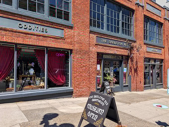 The brick facade of The Skeleton Key Odditorium beckons curious passersby with its vintage charm and crimson curtains, promising wonders that defy ordinary museum experiences.