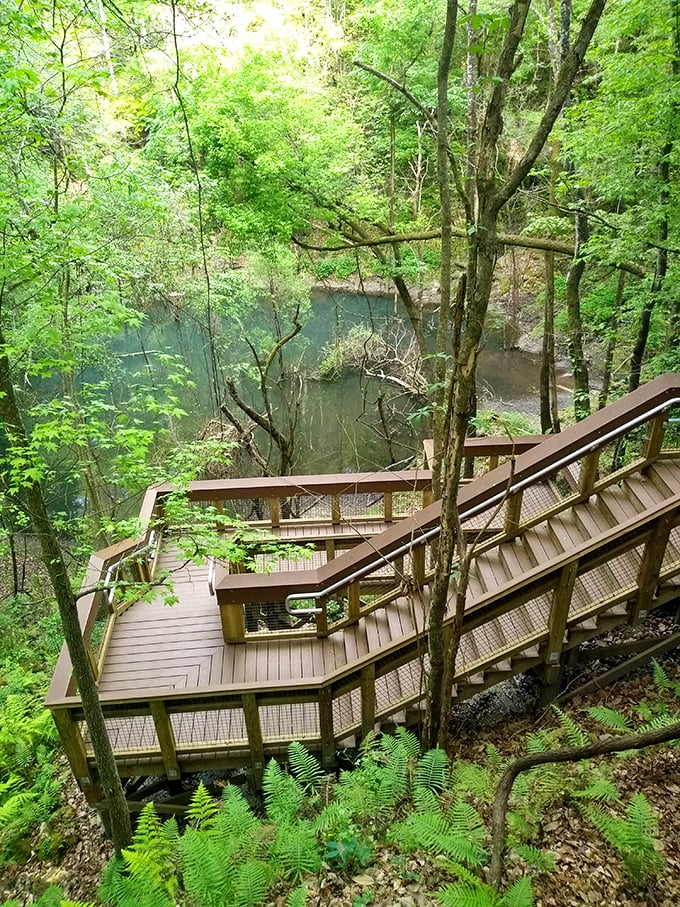 The wooden boardwalk zigzags into the emerald depths like nature's own stairway to heaven—except you're descending into Earth's mysterious belly instead.