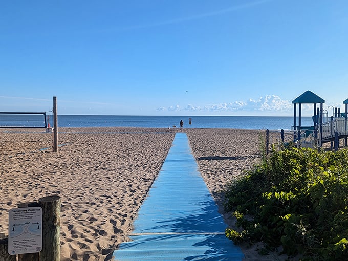 The blue boardwalk beckons like an invitation to paradise, leading visitors across golden sands to Lake Erie's refreshing waters.