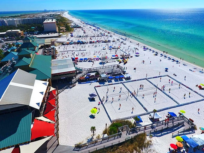 Sugar-white sands and emerald waters create nature's perfect playground. Beach volleyball courts prove Floridians know relaxation is a competitive sport.