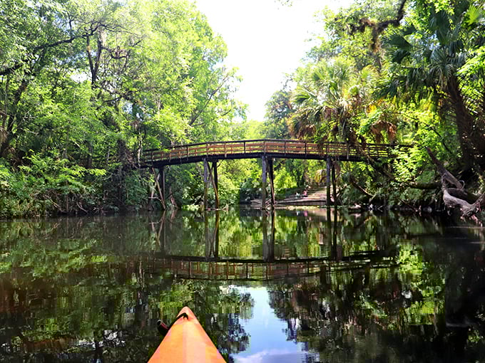 Nature's perfect mirror: the wooden bridge spanning the Hillsborough River creates a symmetrical masterpiece that would make Leonardo da Vinci jealous.