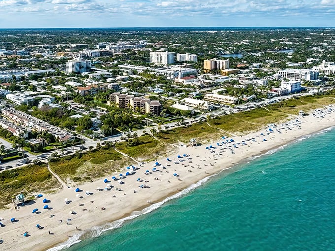 The iconic Pineapple Grove arch welcomes visitors to Atlantic Avenue, where palm trees stand like friendly sentinels guarding this slice of Florida paradise.