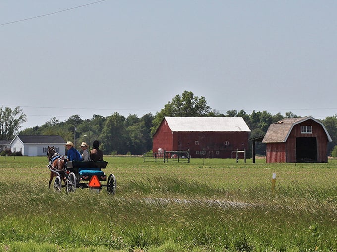 Where time slows down: An Amish buggy travels past classic red barns in Berne's countryside, reminding us that some journeys are best taken at horse-speed.