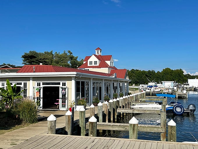 Where the Chesapeake meets culinary magic – Kentmorr's marina-side location means your crab cake's commute was shorter than yours.