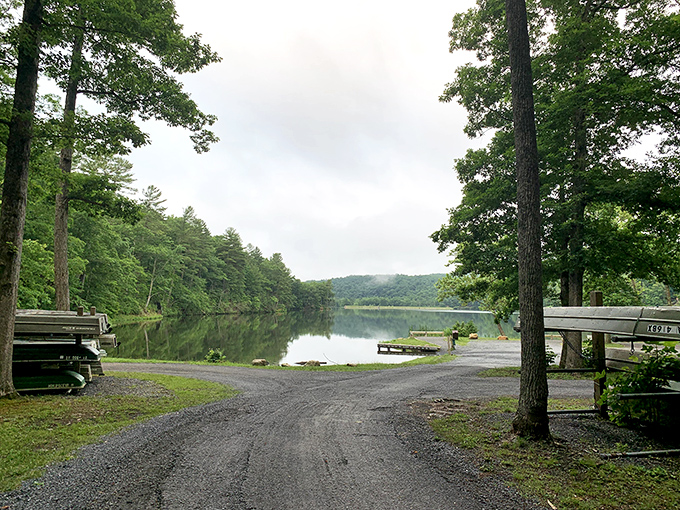 The road less traveled leads to water so still it looks like nature's mirror. Virginia's hidden treasure awaits just around the bend.