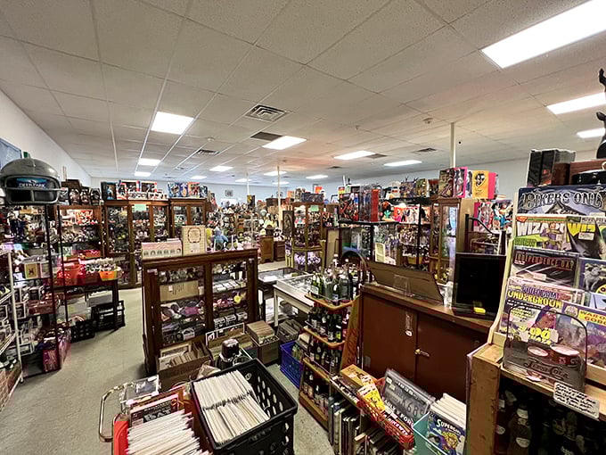 A treasure hunter's paradise where time stands still – display cases filled with memories waiting to be rediscovered and stories waiting to be retold.