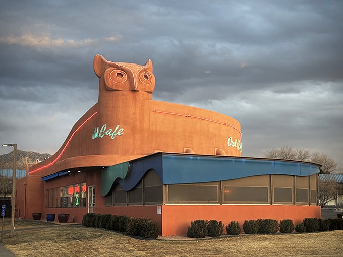 Those watchful owl eyes have seen decades of hungry diners come and go, a terracotta sentinel of southwestern comfort food.