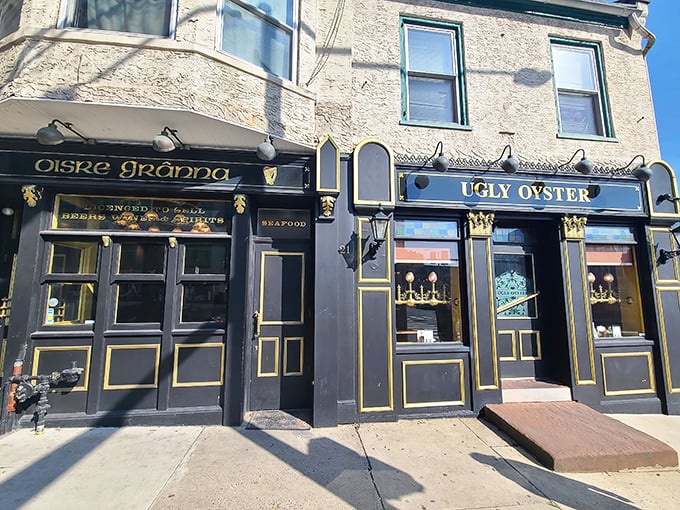 The black and gold façade of The Ugly Oyster beckons like an old friend who's terrible at hiding Christmas presents—impossible to miss and full of delightful surprises inside.