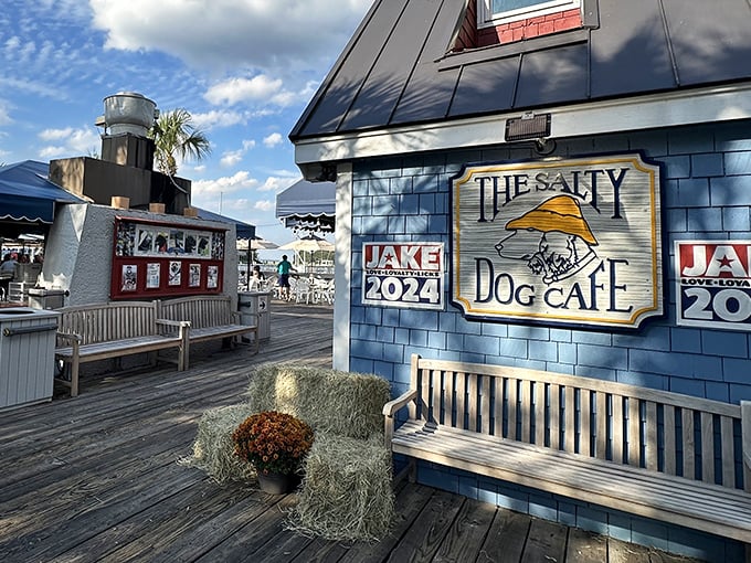 The iconic blue exterior of The Salty Dog Cafe stands like a maritime beacon, promising seafood treasures within its weathered coastal charm.