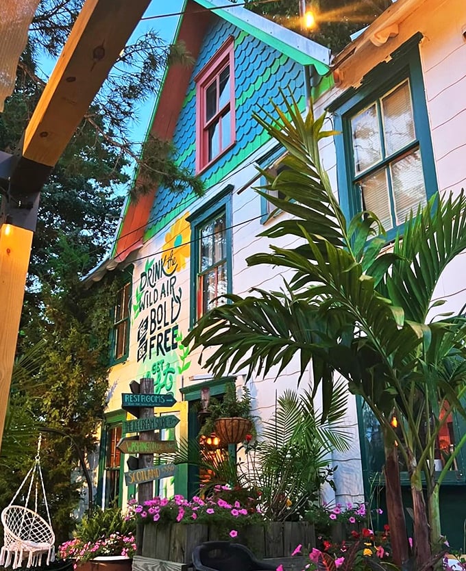 The turquoise fish-scale shingles and vibrant "Drink the Wild Air" mural make Somewhere look like it was plucked straight from a Caribbean island and dropped into Rehoboth Beach.