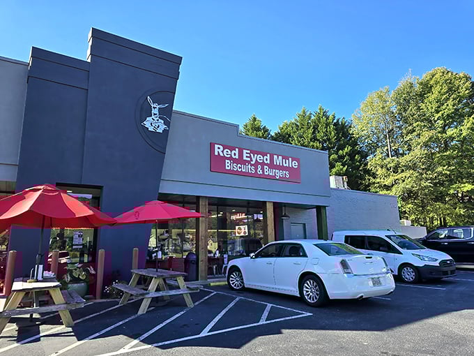 The unassuming exterior of The Red Eyed Mule hides culinary treasures within. Like finding a diamond in a strip mall, this Marietta gem promises biscuit nirvana.