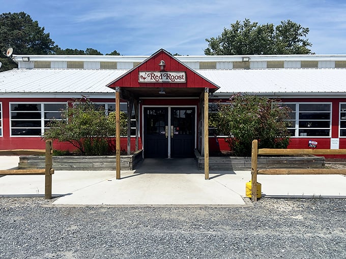 The bright red exterior of The Red Roost stands like a culinary lighthouse, beckoning hungry travelers down country roads to seafood salvation.