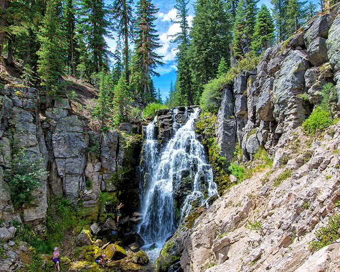 Nature's perfect crescendo: Kings Creek Waterfall cascades 30 feet down volcanic cliffs, framed by towering pines like nature's own concert hall.