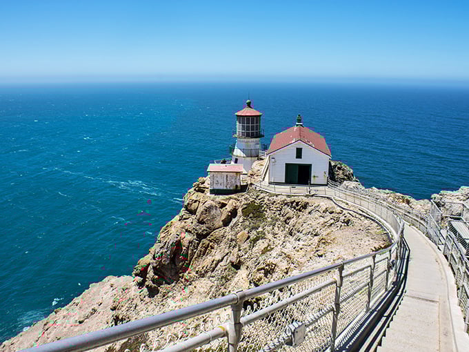 Perched dramatically on the edge of the continent, Point Reyes Lighthouse stands like California's version of a Mediterranean postcard—minus the crowds and plus the wind.
