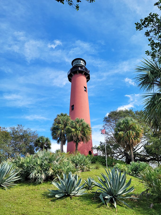 Standing tall since the Civil War era, this coral-colored sentinel has guided ships and now guides stressed-out Floridians to breathtaking views.