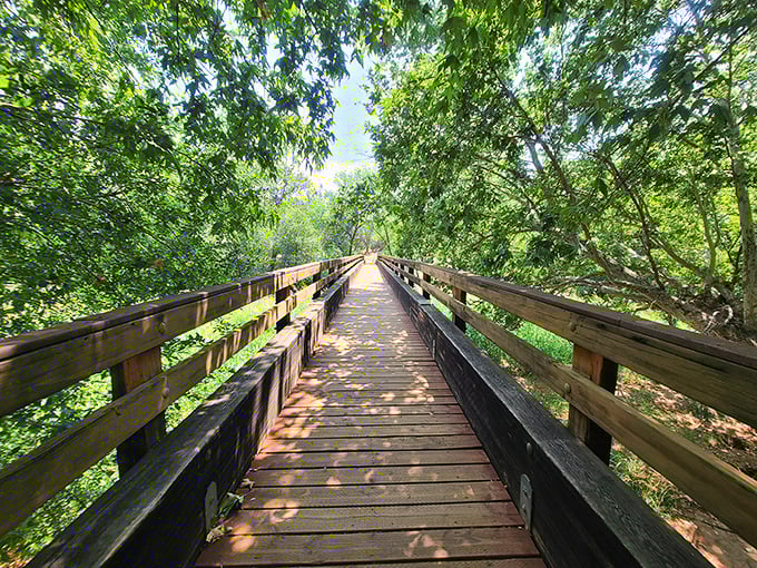 That wooden bridge isn't just a path – it's your portal to Arizona's most photogenic wonderland.