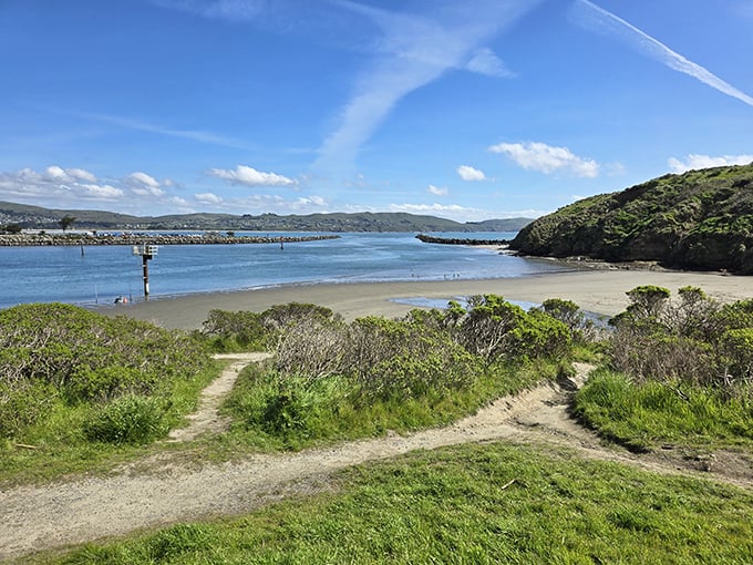 Highway 1 curves through rolling hills where California's coastal magic begins to unfold.