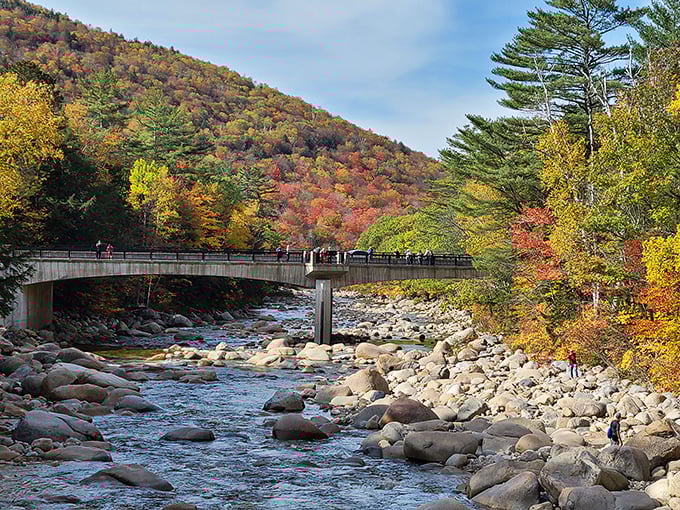 Nature's perfect painting comes to life where mountains embrace sky and water. Fall in New Hampshire isn't just a season—it's a masterpiece.
