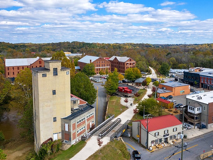 The aerial view of Farmville reveals its perfect blend of historic architecture and natural beauty—like someone designed a town specifically for your Instagram feed.