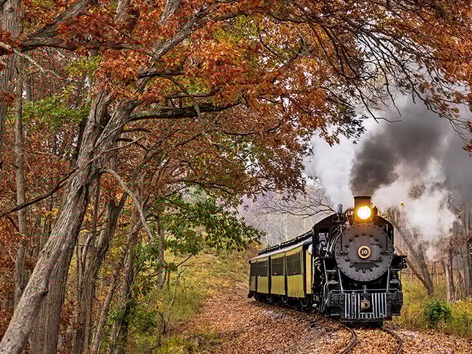 Steam, leaves, and a little magic—this train rumbles through fall like it’s got somewhere cozy to be by sundown.