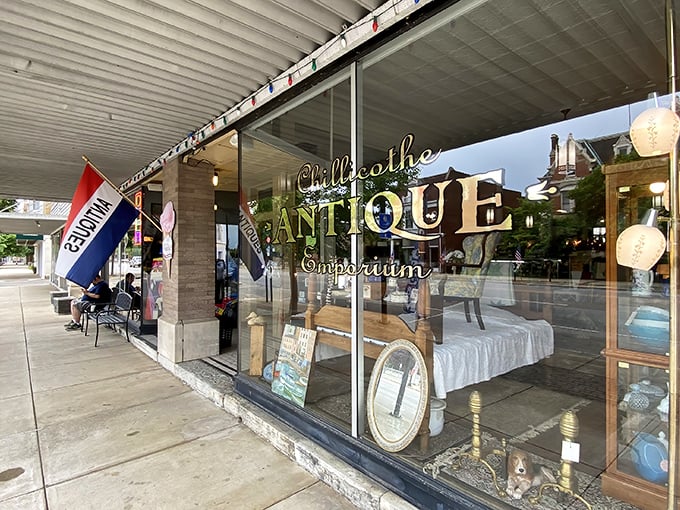 That golden lettering against the glass promises treasures within – like the title sequence of your favorite childhood show coming to life.