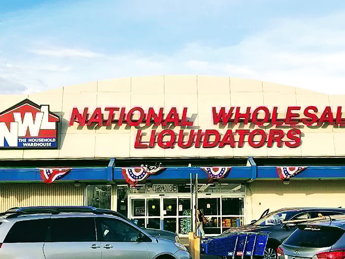 Bold red and blue signs call out like a bargain hunter’s lighthouse, hinting at aisles of hidden treasures inside.