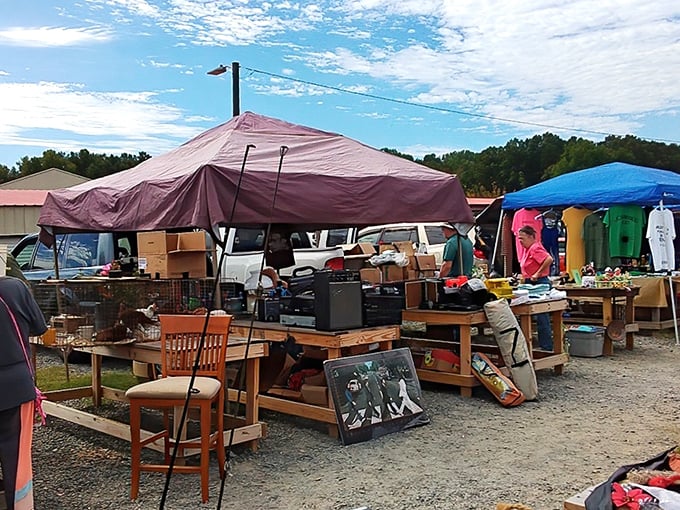 The treasure hunter's highway stretches before you at Webb Road Flea Market, where one person's castoffs become another's prized discoveries.