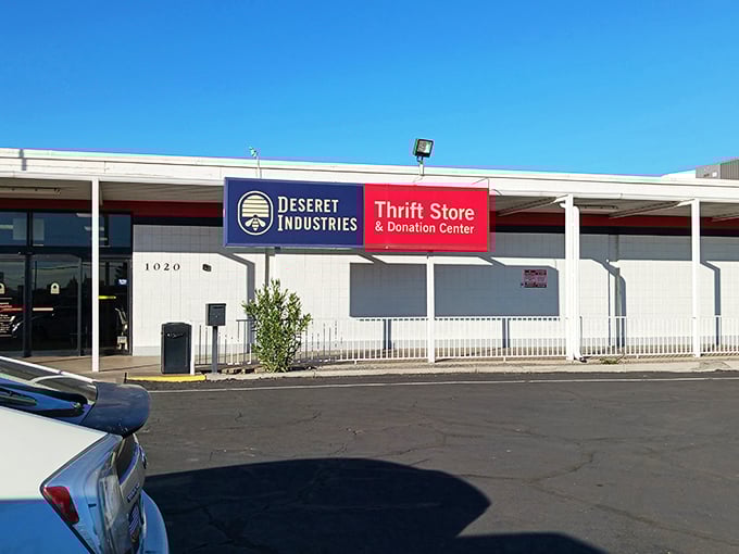 Mesa's answer to the Library of Alexandria, except everything's for sale and touching is not just allowed but encouraged.