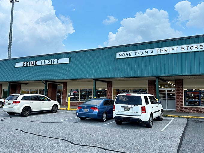 "More Than A Thrift Store" isn't just marketing speak – it's a fair warning about your afternoon disappearing.