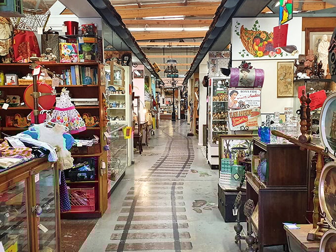This endless corridor of treasures makes you wonder if they've discovered a portal to every estate sale in history.