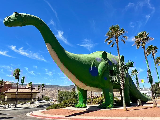 The mighty T-Rex stands sentinel along Interstate 10, greeting travelers with a toothy grin that says, "Welcome to the Jurassic detour you never knew you needed."