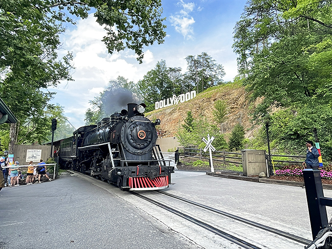 The magnificent Dollywood Express steams into the station, announcing its arrival with a cloud of smoke and that unmistakable whistle that makes everyone's inner child leap with joy.