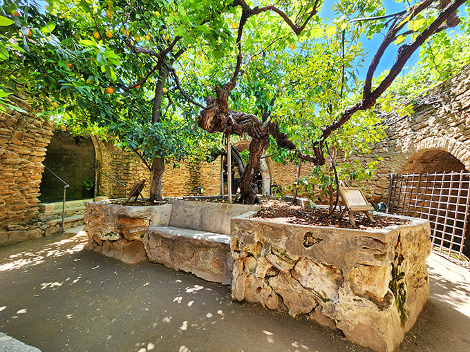 Trees reaching skyward from stone planters—nature finding a way even underground. Baldassare's genius was creating spaces where life thrives beneath the earth.