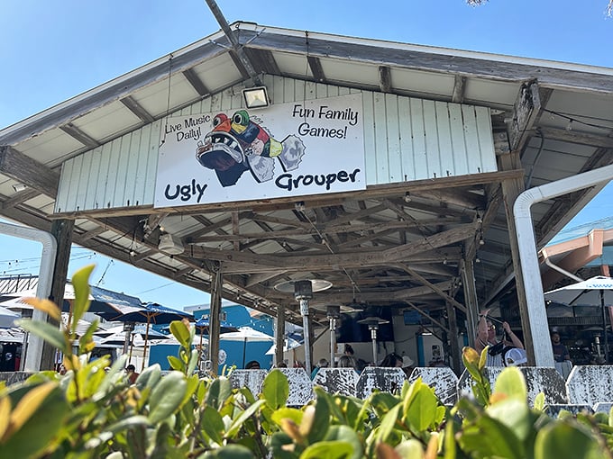 With its sunny colors and cheeky name, The Ugly Grouper serves up Florida’s trademark mix of breezy charm and wink-at-yourself humor—proof that ‘ugly’ can be downright irresistible.