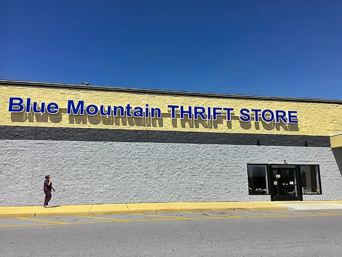 The iconic blue lettering against the yellow building serves as a beacon for bargain hunters across Palmyra. Welcome to treasure island!