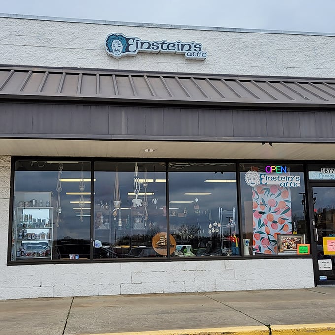 The storefront's unassuming exterior belies the wonderland within, like finding a portal to another dimension between errands.