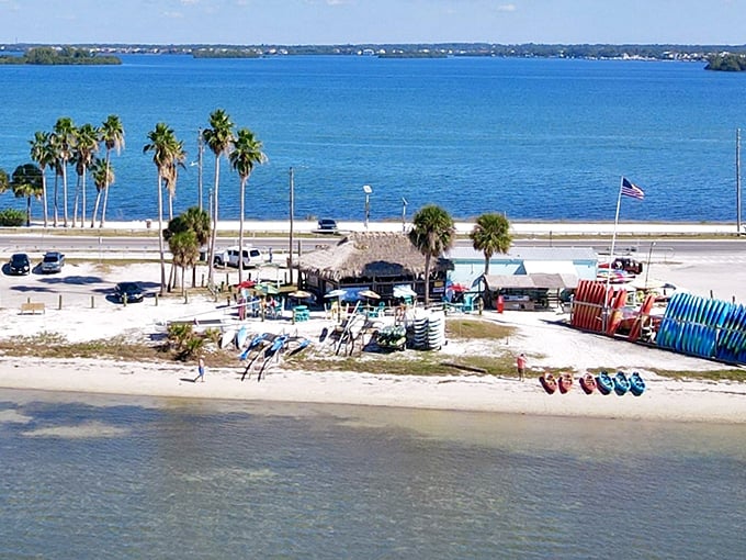 Paradise doesn't need a passport! Dunedin's waterfront combines pristine beaches with rental equipment ready for your aquatic adventure.