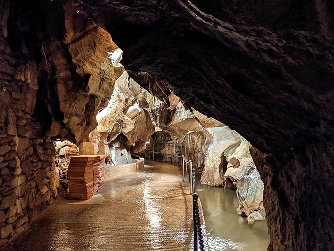 The underground highway: wooden walkways and handrails guide visitors through chambers where water and limestone have collaborated for millions of years.