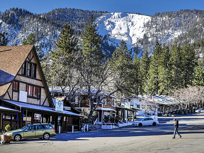 Park Drive welcomes you with that perfect small-town vibe – where parking spots are plentiful and pine-scented air comes standard with every visit.