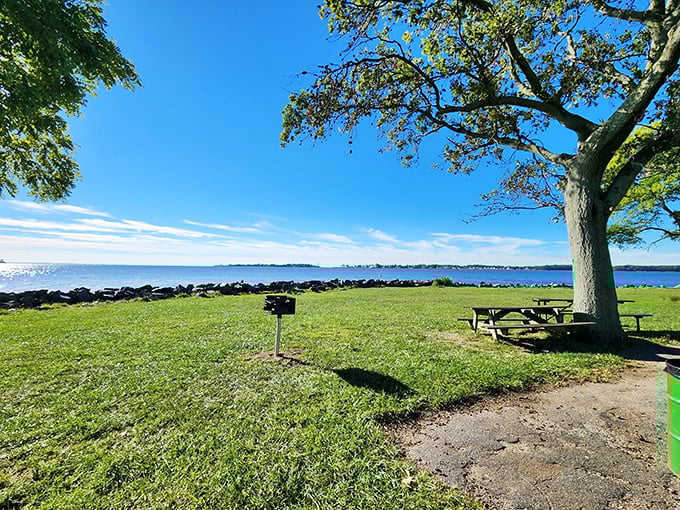 Nature’s perfect picnic spot awaits with a million-dollar view that doesn’t cost a penny. The Chesapeake stretches wide before you, a peaceful backdrop for lunch beneath the shade of a sturdy tree.